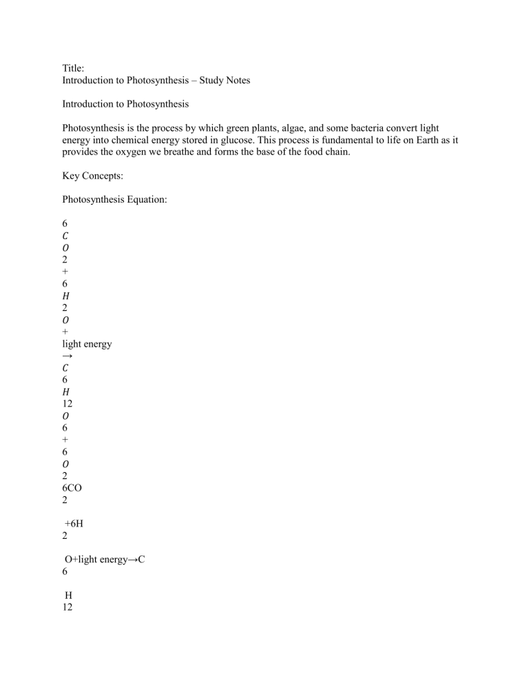 Photosynthesis: Introduction & Key Concepts Study Notes