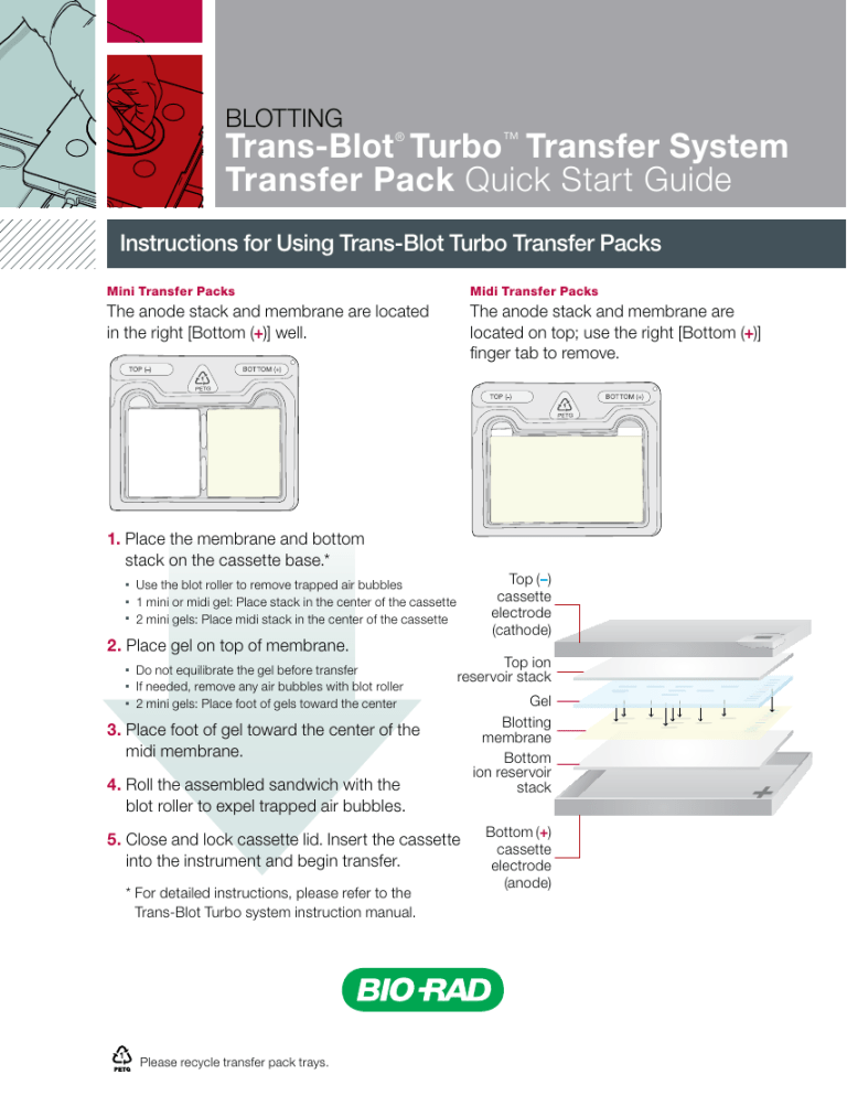 Trans-Blot Turbo Transfer System Quick Start Guide