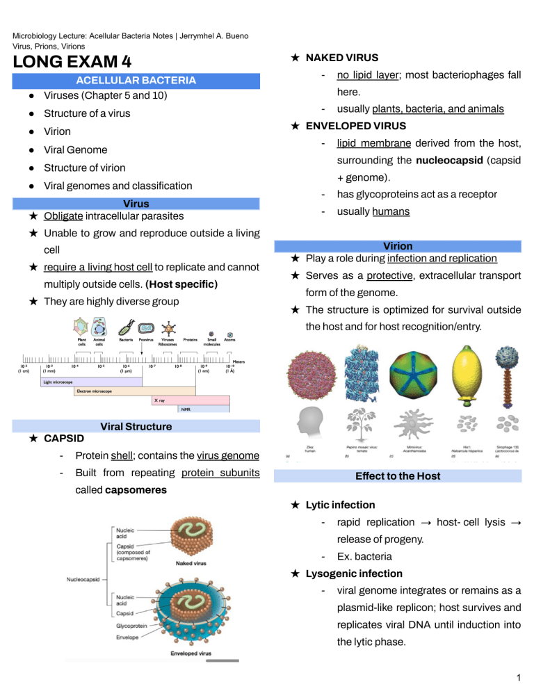 Acellular Bacteria: Virus Lecture Notes