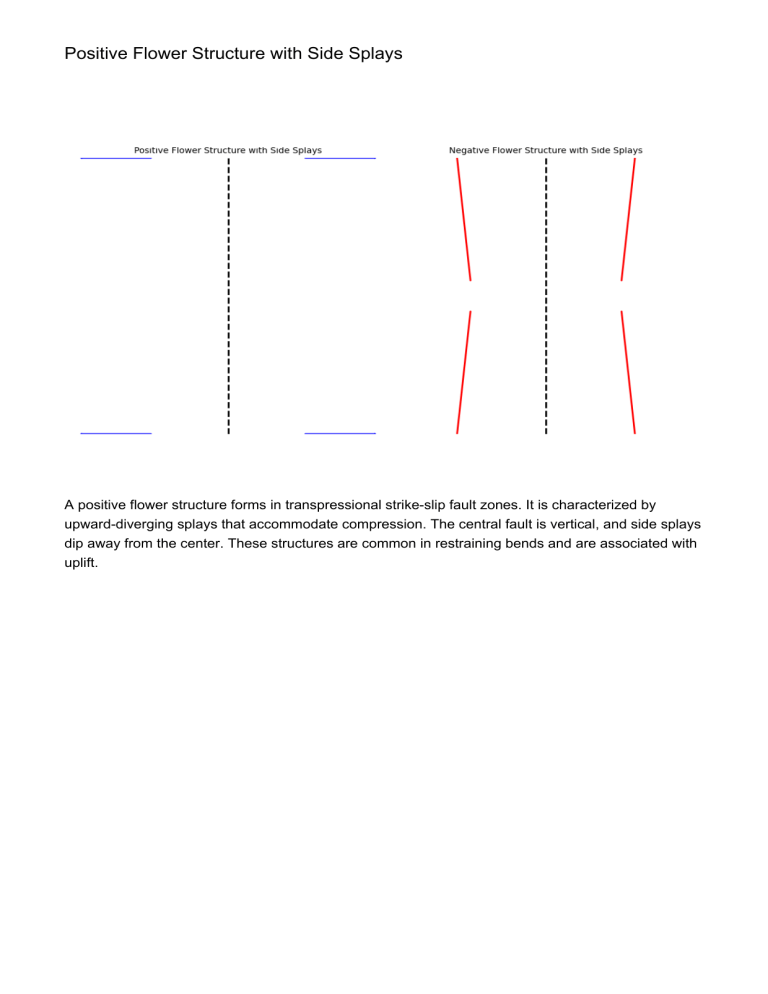 Flower Structures in Strike-Slip Fault Zones