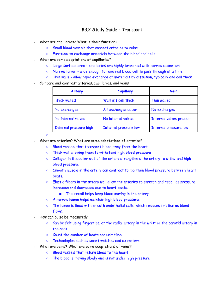 Biology Transport Study Guide: Circulatory & Plant Systems