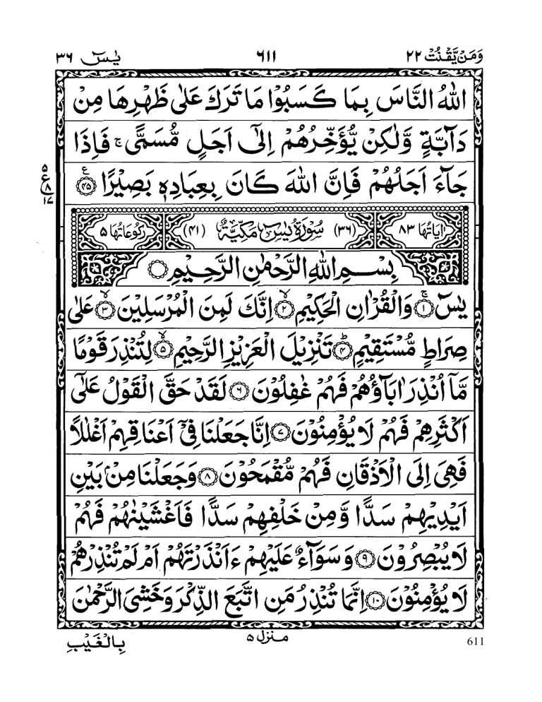 Surah Yasin (Chapter 36) from The Holy Quran - Arabic Text