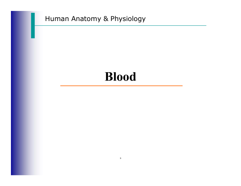 Human Anatomy & Physiology: Blood - Components, Functions, Disorders