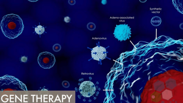 Gene Therapy: Types, Approaches, Vectors, and Ethical Issues