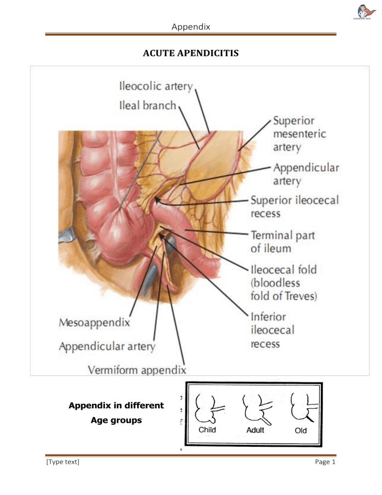 Acute Appendicitis: Symptoms, Pathology, Diagnosis & Complications