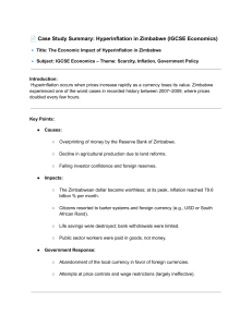 Zimbabwe Hyperinflation Case Study: Causes & Consequences