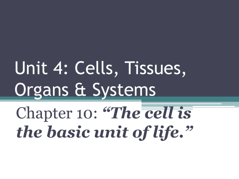 Cell Biology: Structure, Function, Mitosis & Cellular Respiration