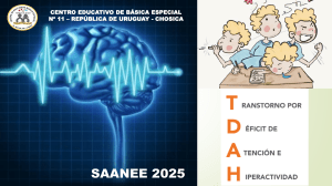 TDAH: Impacto y Características