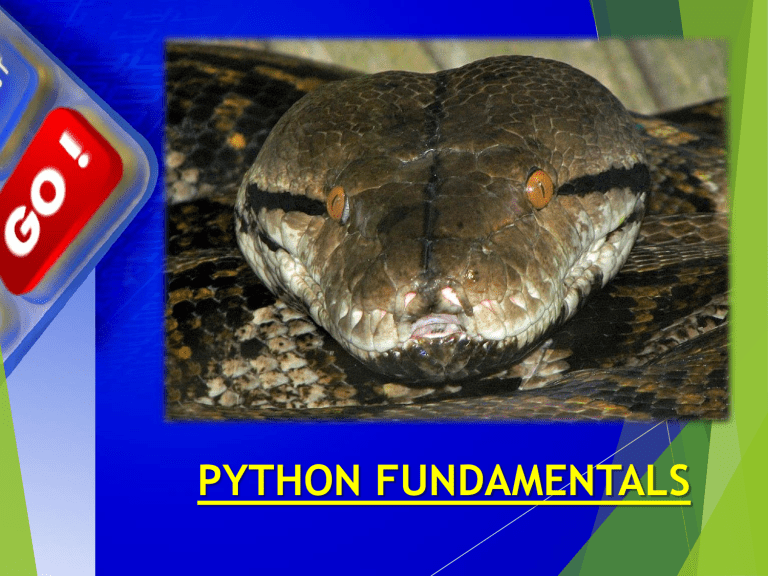 Python Fundamentals: Character Sets, Tokens, and More