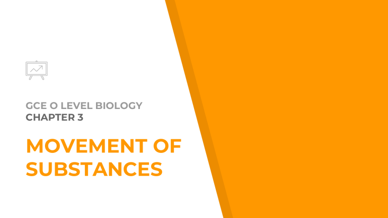 Movement of Substances: Diffusion, Osmosis & Active Transport in Biology