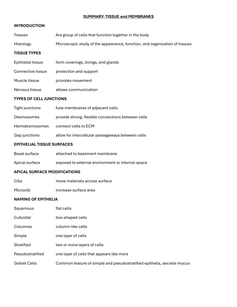 Tissue and Membranes Summary: Histology, Types, Functions