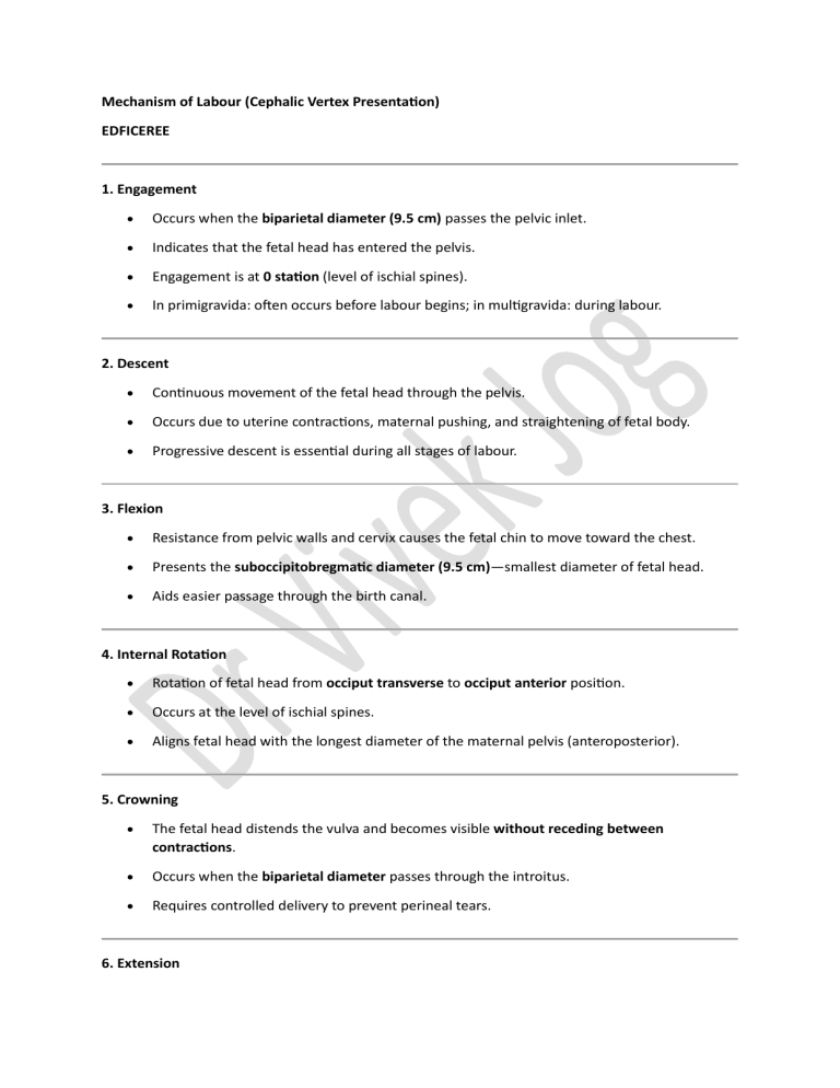 Mechanism of Labour: Cephalic Vertex Presentation Steps (EDFICEREE)