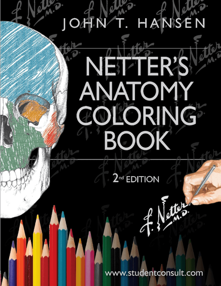 Netter's Anatomy Coloring Book 2nd Ed: Human Anatomy Learning