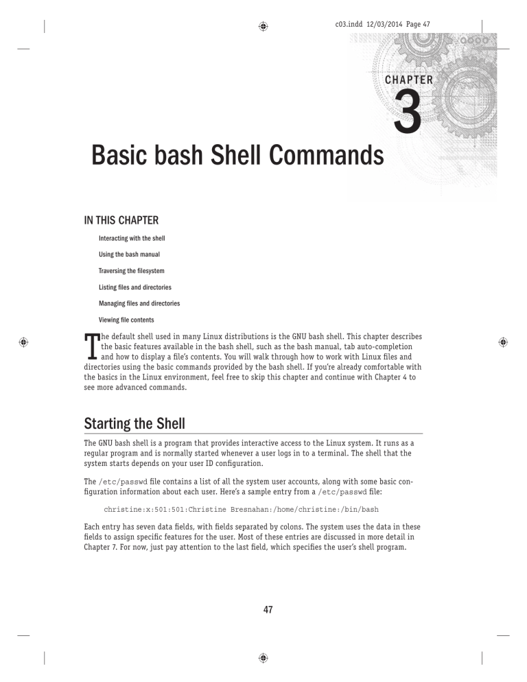 Basic bash Shell Commands: Linux CLI & Filesystem Navigation