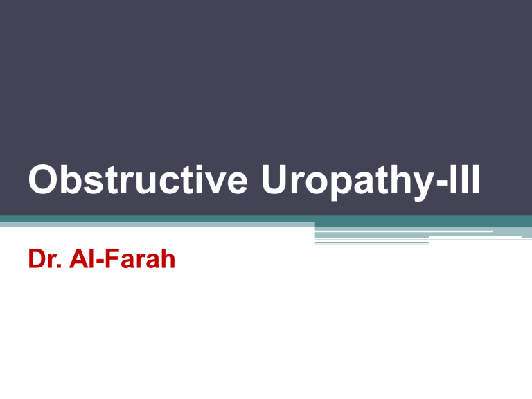 Obstructive Uropathy: Causes, Hydronephrosis, Renal Stones & Urolithiasis