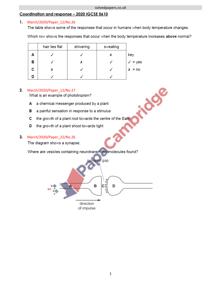 IGCSE Biology 2020: Coordination & Response Exam Questions