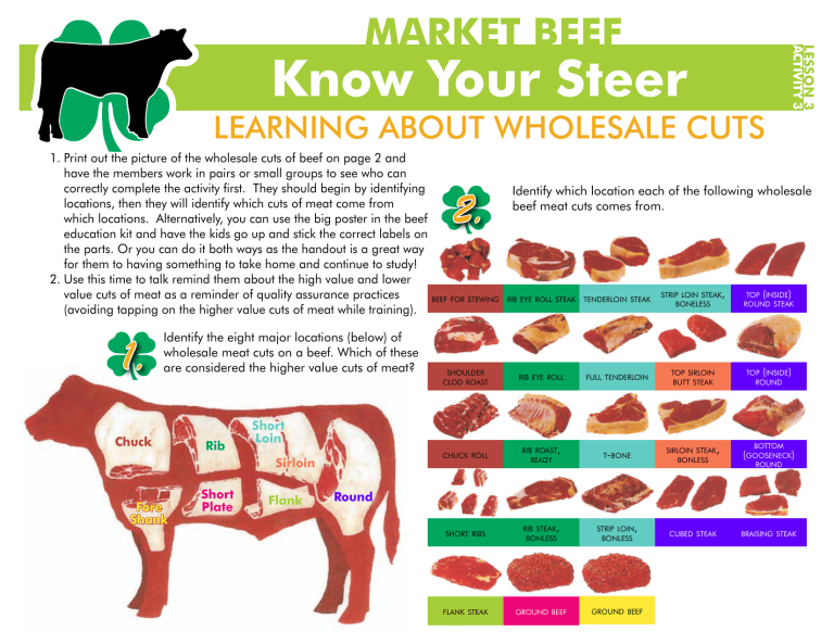 Wholesale Beef Cuts Activity: Know Your Steer & Meat Locations