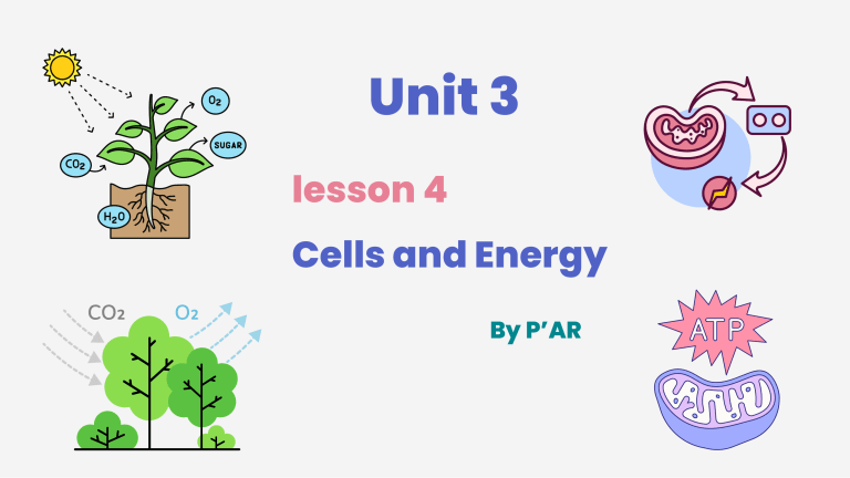 Unit 3.4 cells & energy