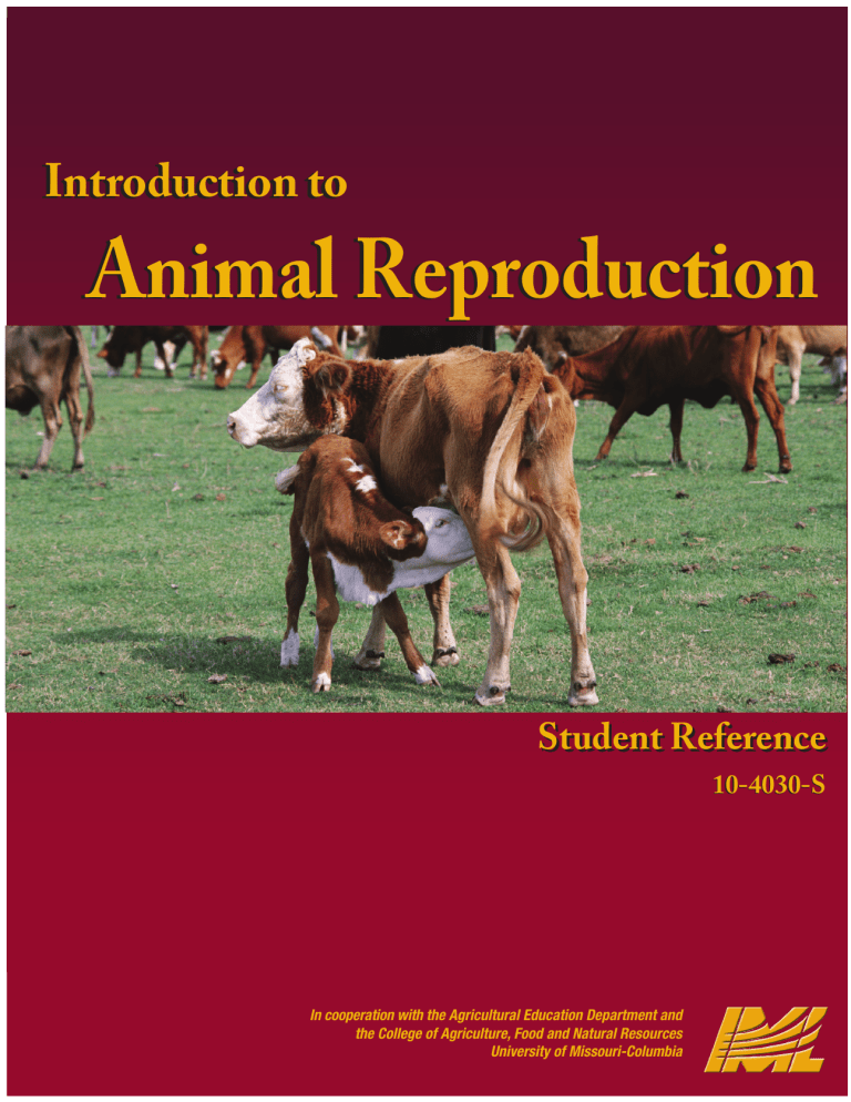 Animal Reproduction: Male Reproductive System & Hormones Student Guide