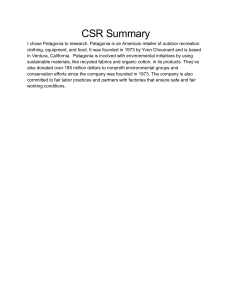 Patagonia Case Study: Mission, Growth, and Sustainability