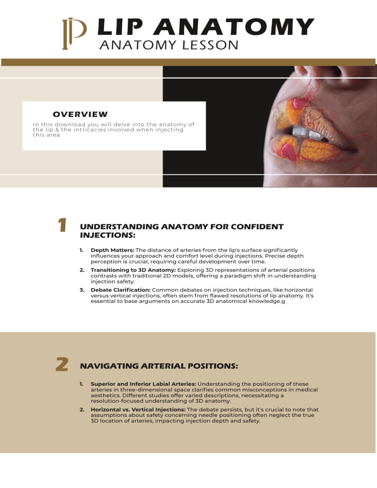 Lip Anatomy Lesson: Confident Injections & Arterial Positioning