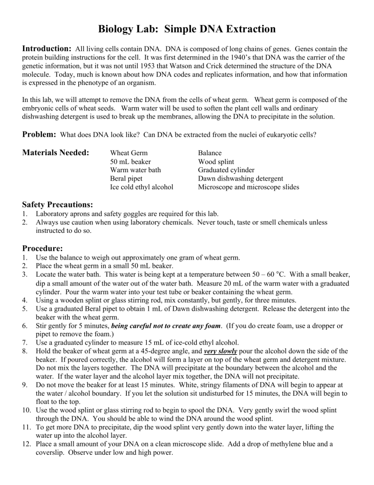 Simple DNA Extraction Biology Lab Procedure & Questions