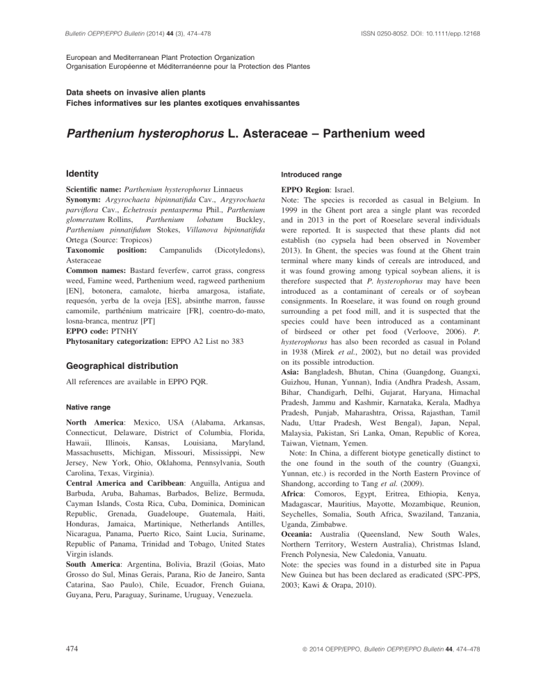Parthenium hysterophorus: Invasive Weed Data Sheet (EPPO Bulletin)
