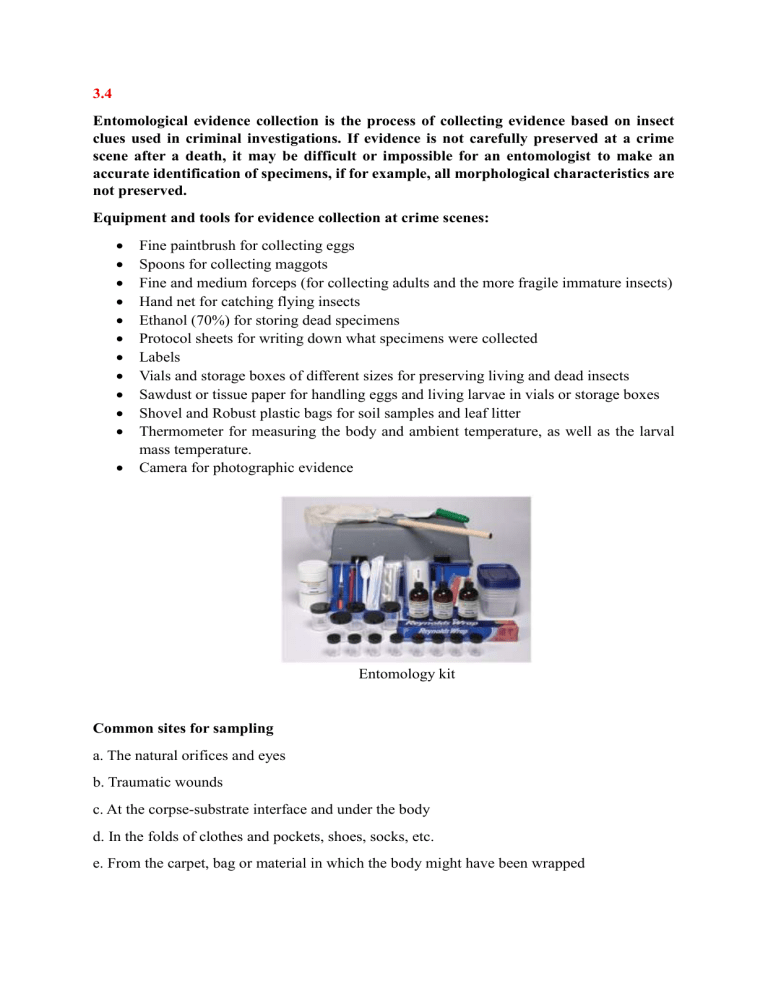 Forensic Entomology: Evidence Collection Guide for Crime Scenes