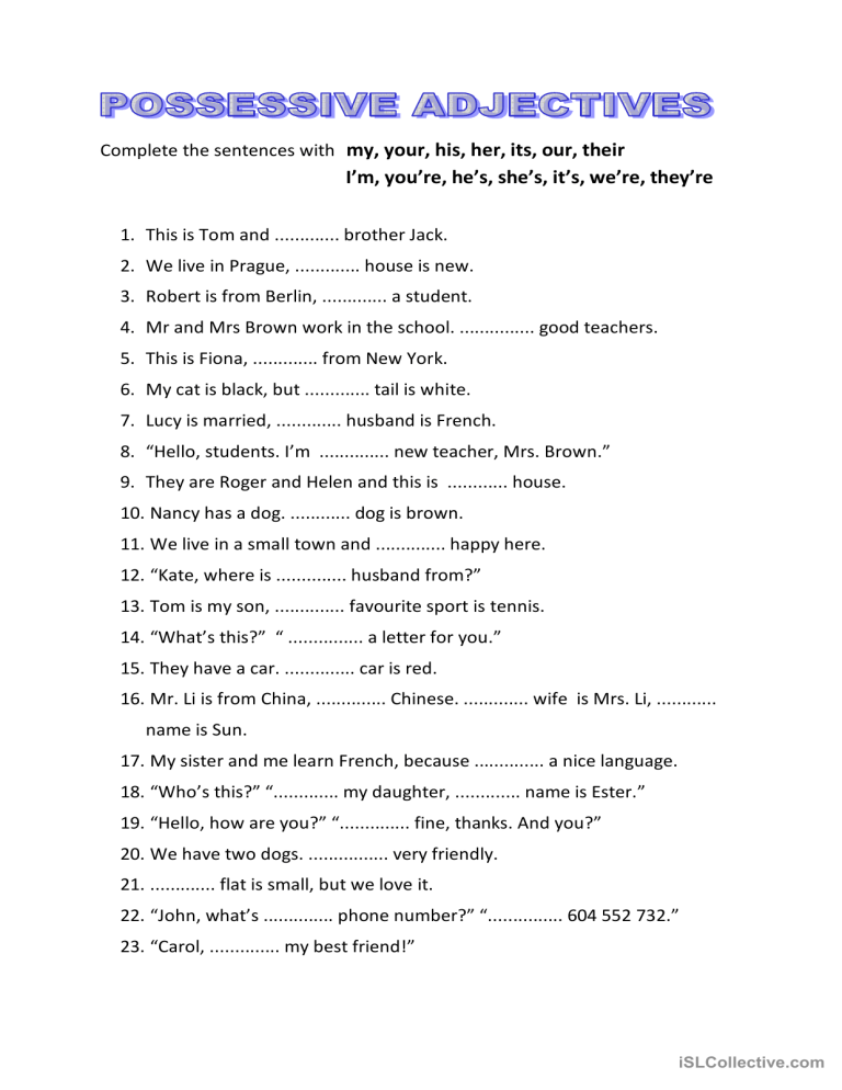 Possessive Adjectives & Contractions English Grammar Worksheet