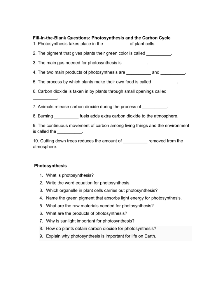 Photosynthesis & Carbon Cycle Questions | Biology Worksheet