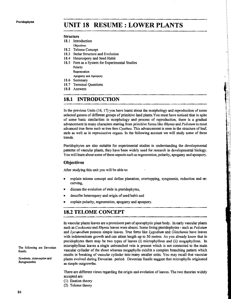 Pteridophytes: Telome Concept, Stelar Evolution & Seed Habit