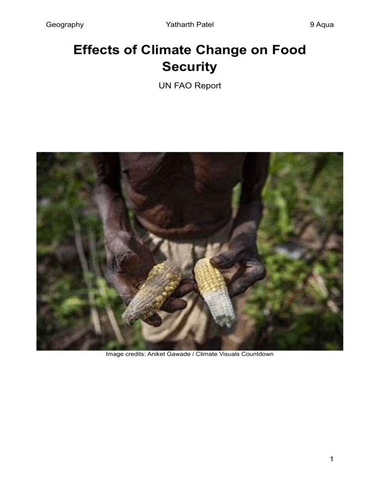 Effects of Climate Change on Food Security