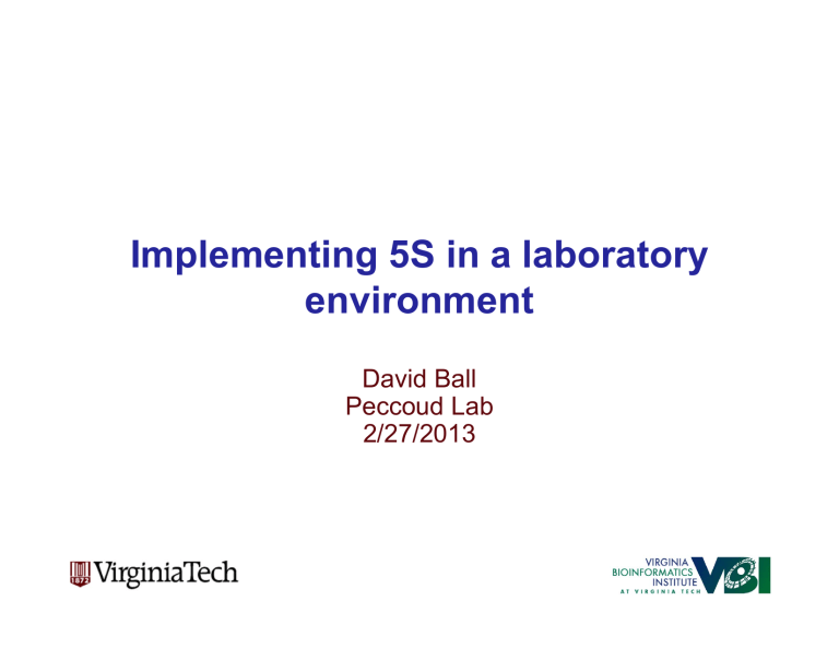 Implementing 5S in a Laboratory: Efficiency & Organization Guide