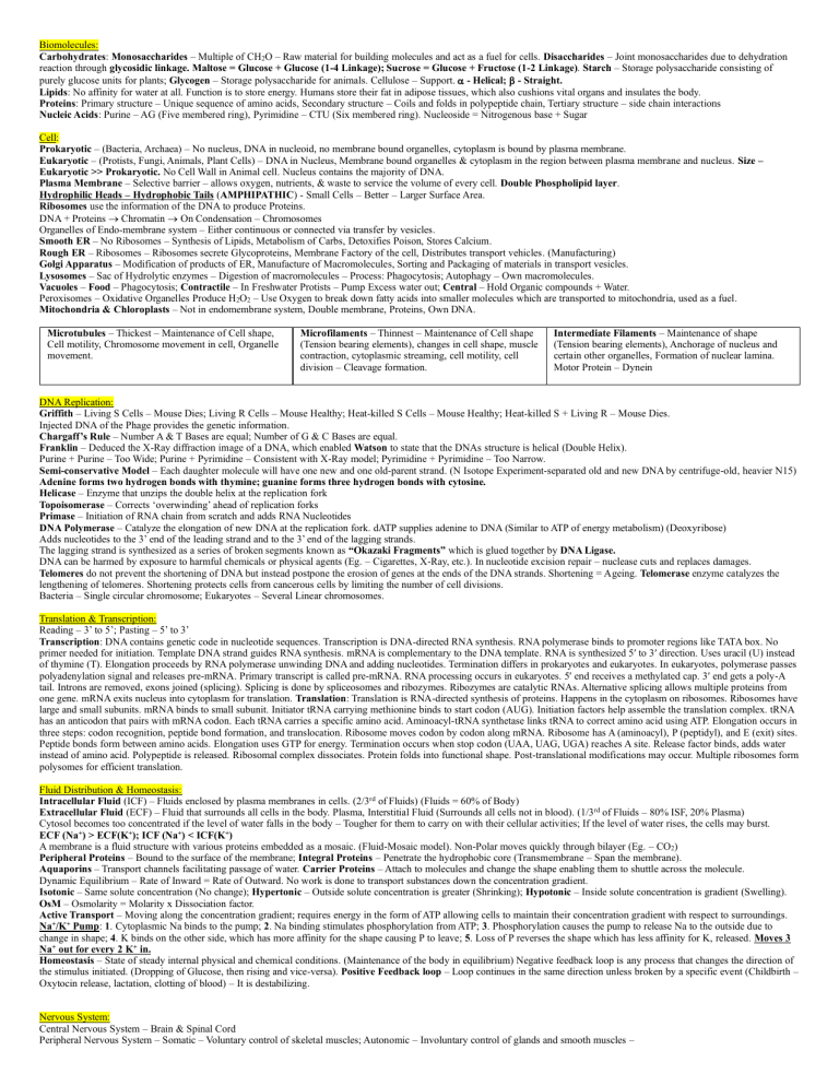 Biology Study Guide: Biomolecules, Cells, DNA, Homeostasis & Nervous System
