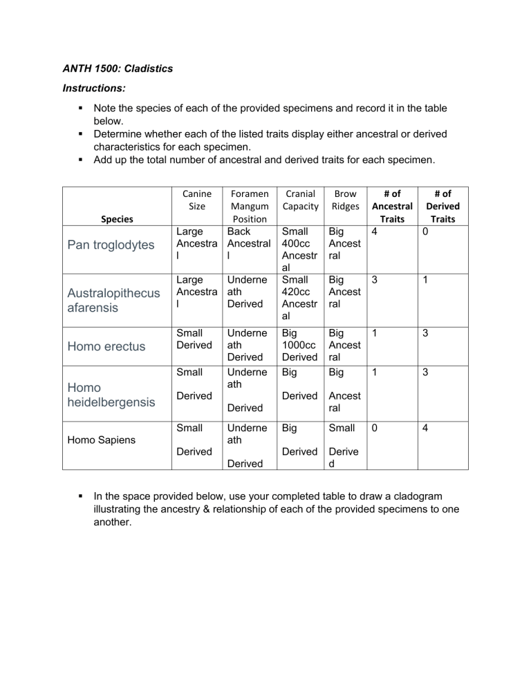 ANTH 1500: Cladistics Worksheet - Hominin Evolution Traits