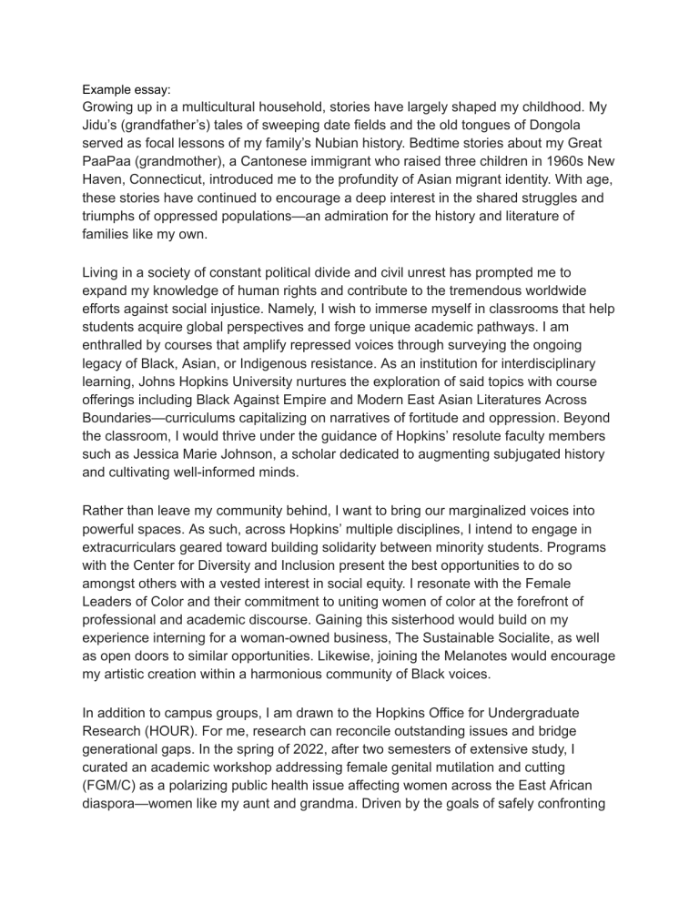 Johns Hopkins Example Essay: Human Rights & Cultural Studies