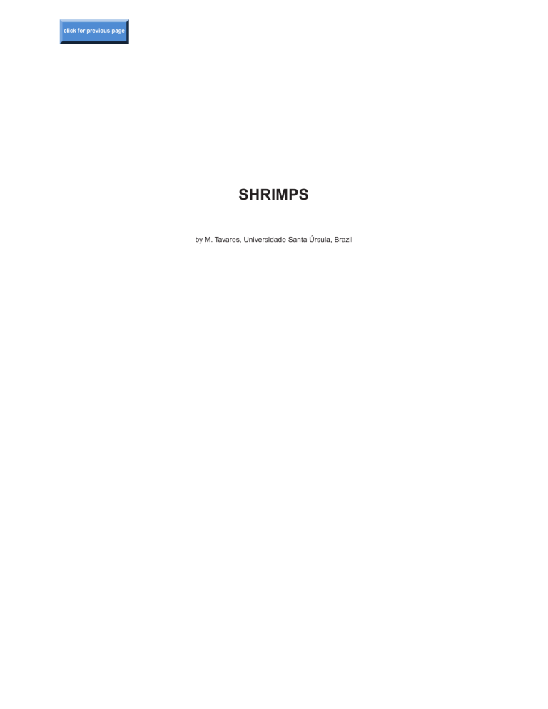 Shrimp Identification Guide: Anatomy & Families
