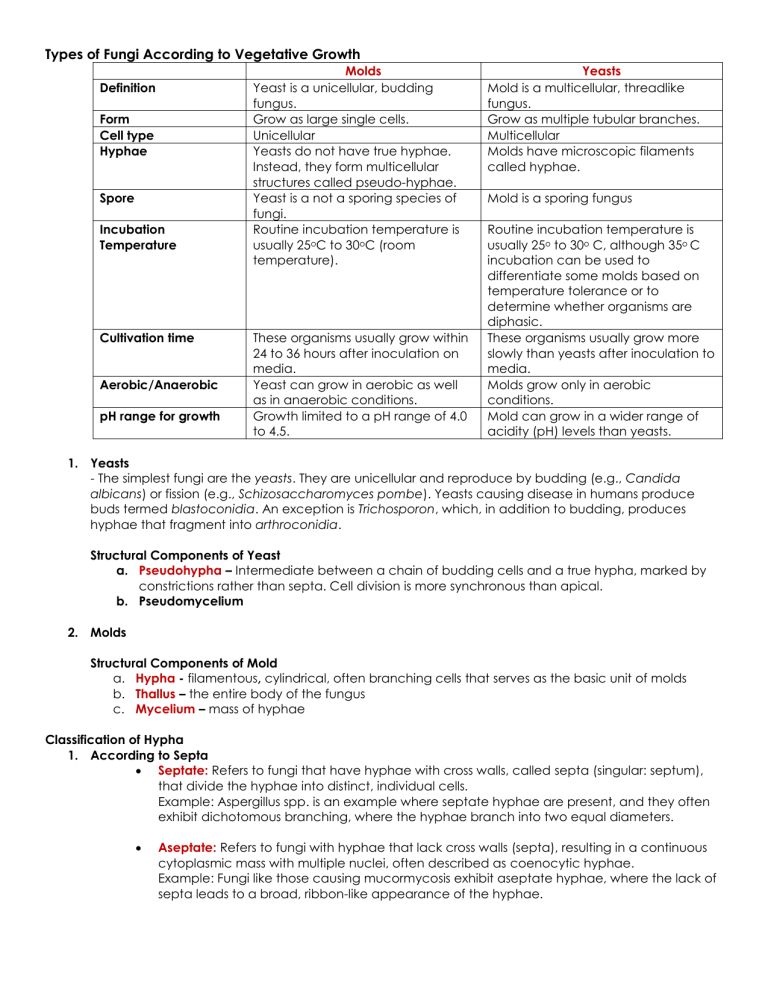 Types of Fungi: Molds, Yeasts, Classification & Vegetative Growth