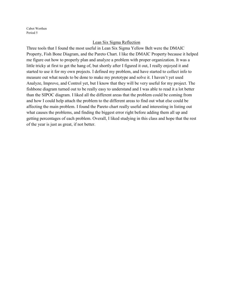 Lean Six Sigma Reflection: DMAIC, Fishbone, Pareto Chart Insights