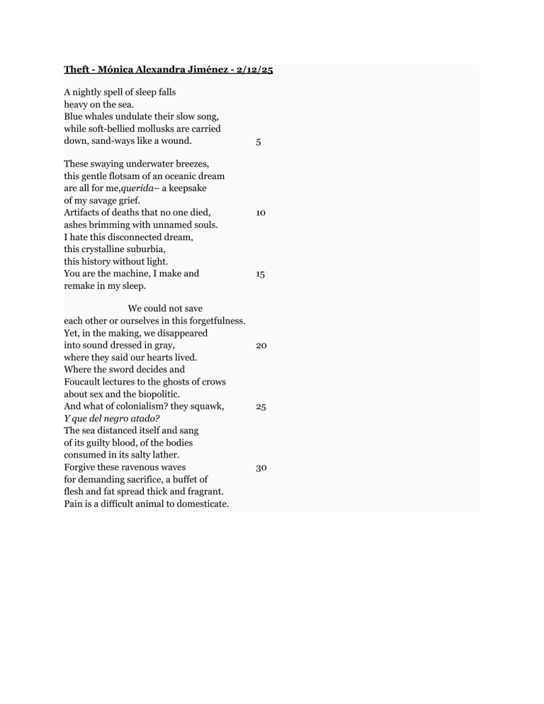 Theft: A Poem by Mónica Alexandra Jiménez