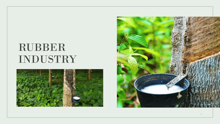 Rubber Industry: History, Types, Properties & Processing Overview