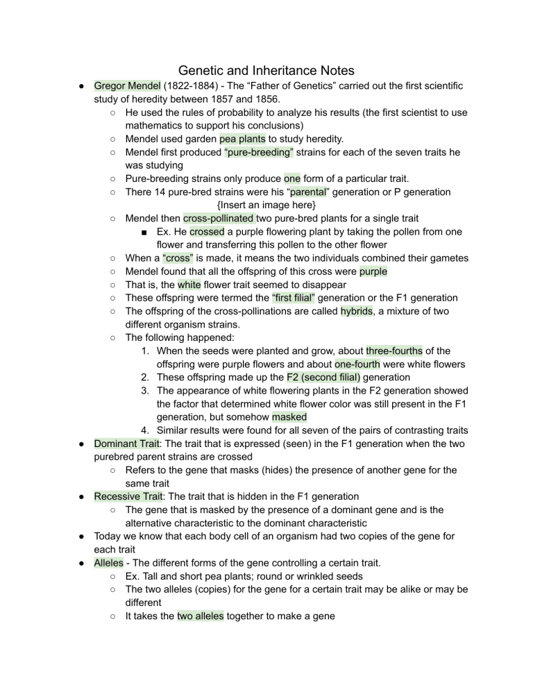 Genetic and Inheritance Notes: Mendel's Laws, Alleles & Punnett Squares