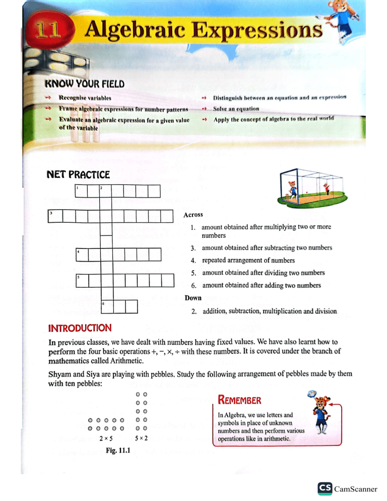Algebraic Expressions: Introduction & Practice for Middle School Math