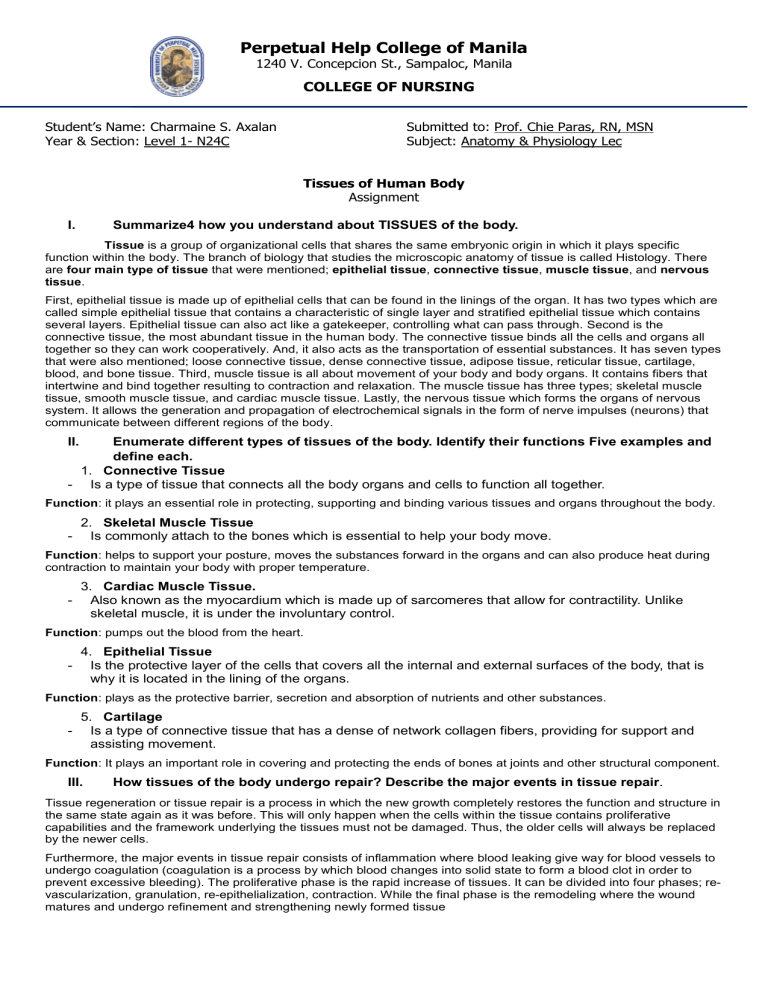 Human Body Tissues: Structure, Function, Repair, and Aging