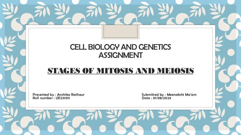 Mitosis and Meiosis Stages: Cell Biology & Genetics Assignment