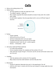 Cells: Structure, Organelles, and Types - Biology Study Notes