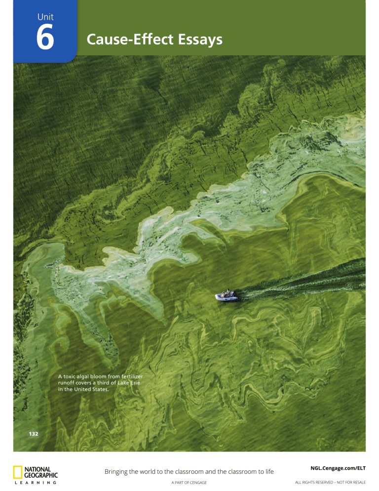 Cause-Effect Essays: Writing Guide & Examples for Students