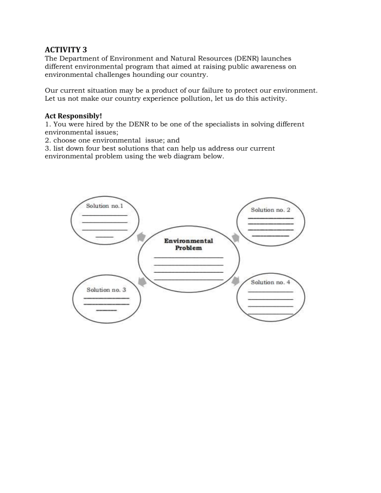 DENR Environmental Issues Activity: Solutions Web Diagram