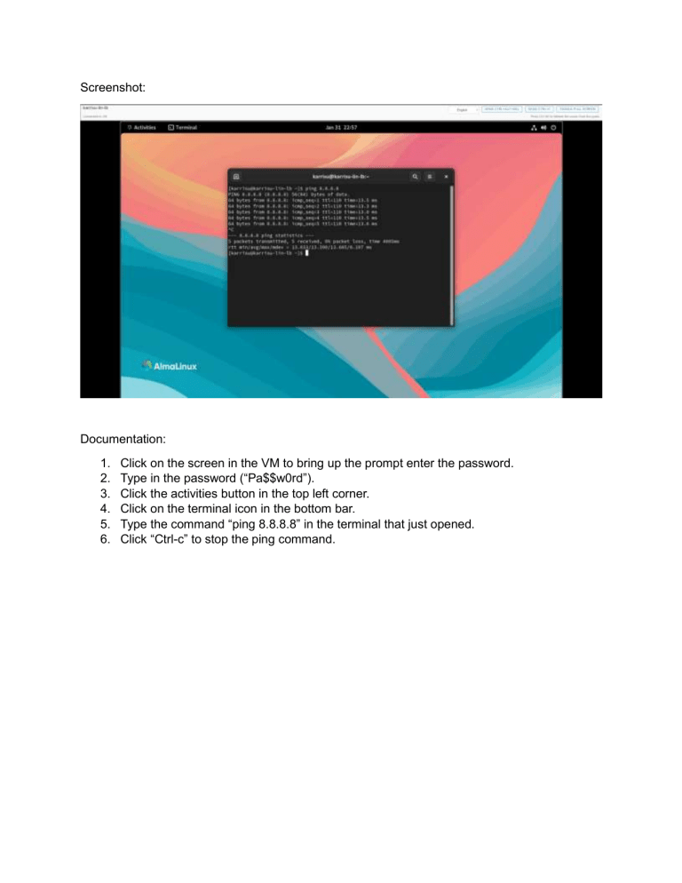 Linux VM Terminal Guide: Ping Command in AlmaLinux