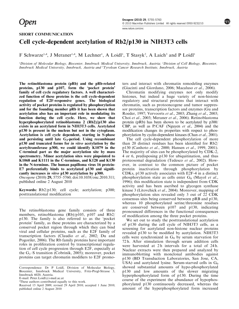 Rb2/p130 Acetylation in NIH3T3 Cells: Cell Cycle Regulation